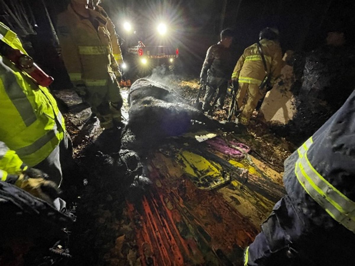 1400lb horse (Niko) trapped in mud is rescued by local first responders ...